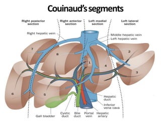 Radiological anatomy of liver segments | PPTX