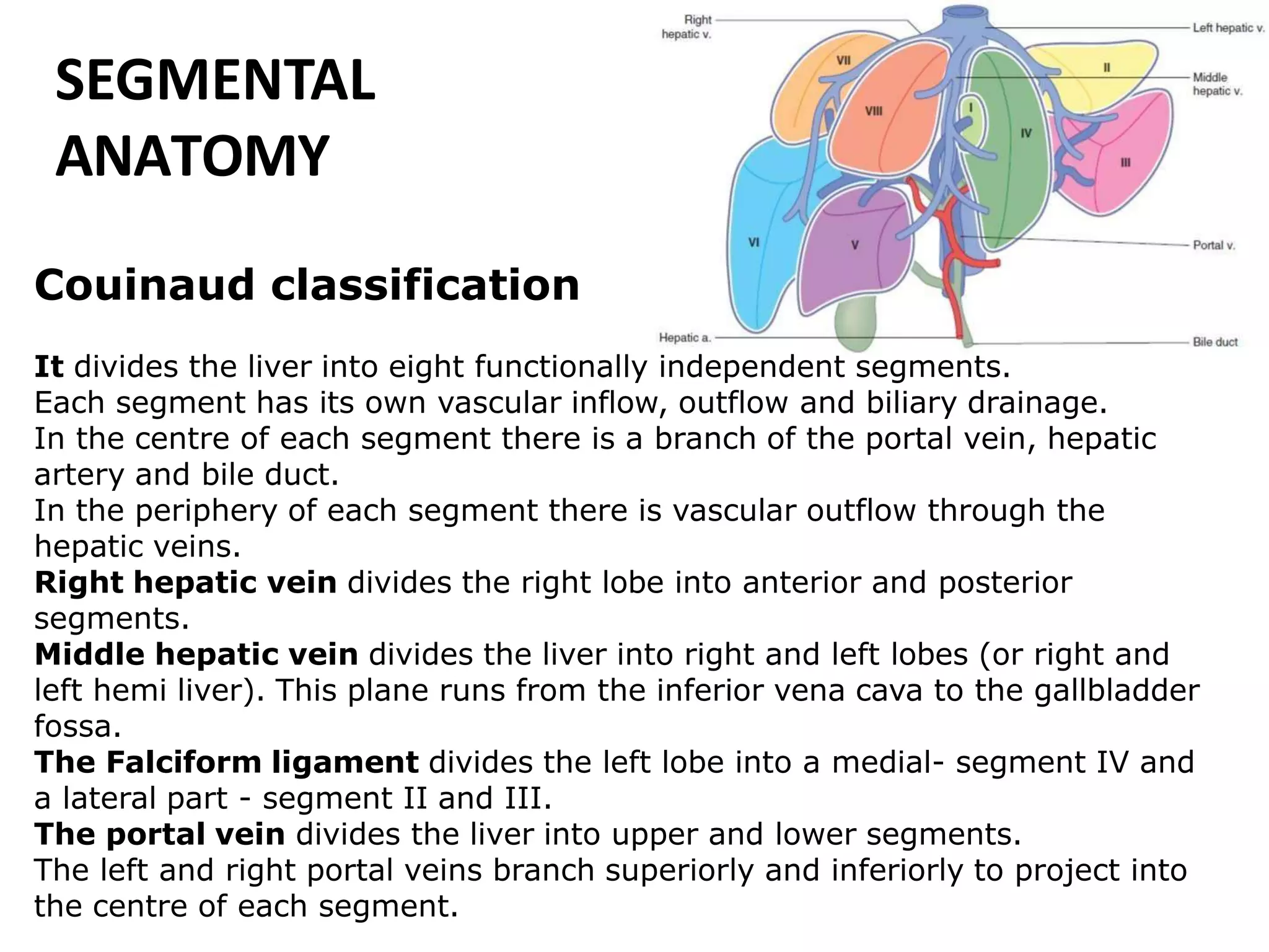 radiological anatomy of liver segments (1).pptx