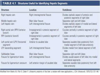 radiological anatomy of liver segments (1).pptx