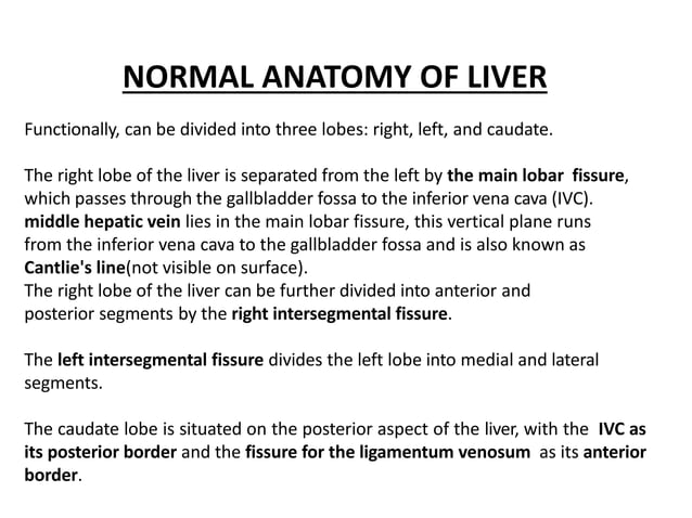 radiological anatomy of liver segments (1).pptx | Endocrine and ...