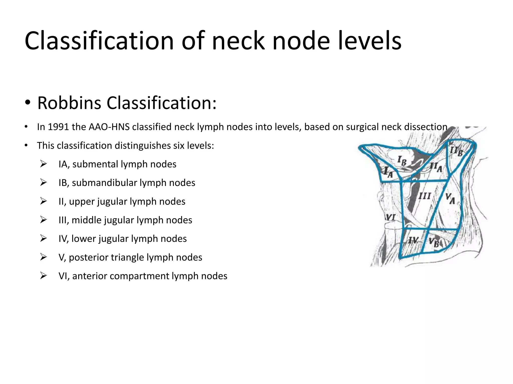 Radiological anatomy of lymph node | PPTX