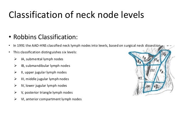 Radiological Anatomy Of Lymph Node