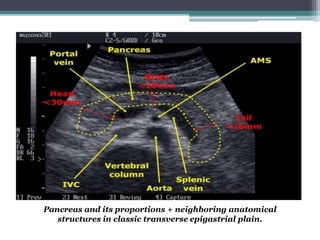 Pancreas Ultrasound Labeled