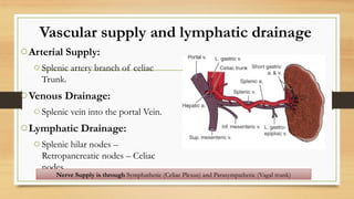 Radiological anatomy of Pancreas and Spleen | PPTX