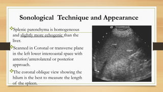 Radiological anatomy of Pancreas and Spleen | PPTX