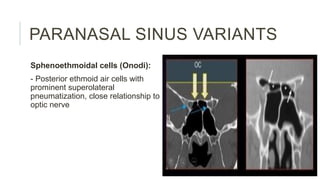 RADIOLOGICAL ANATOMY OF PNS Dr Pierre.pptx