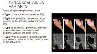 RADIOLOGICAL ANATOMY OF PNS Dr Pierre.pptx
