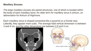RADIOLOGICAL ANATOMY OF PNS Dr Pierre.pptx