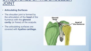 Radiological anatomy of shoulder joint | PPTX
