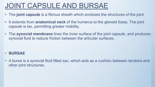 Radiological anatomy of shoulder joint | PPTX