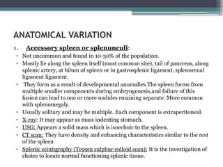 radiological anatomy of spleen liver pancreas | PPT