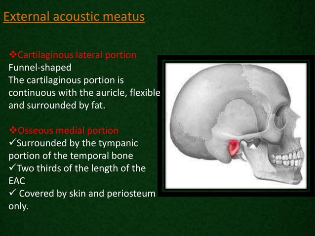 Radiological anatomy of_temporal_bone[1] | PPTX
