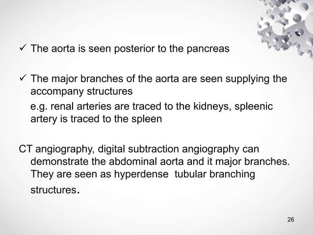 Radiological anatomy of the abdominal aorta | PPTX