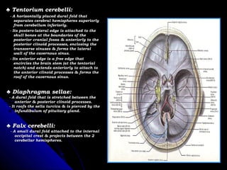 Radiological anatomy of the brain | PPT