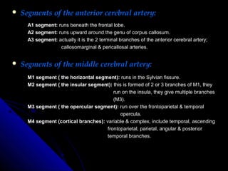 Radiological anatomy of the brain | PPT
