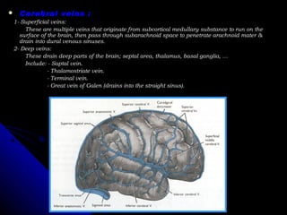 Radiological anatomy of the brain | PPT