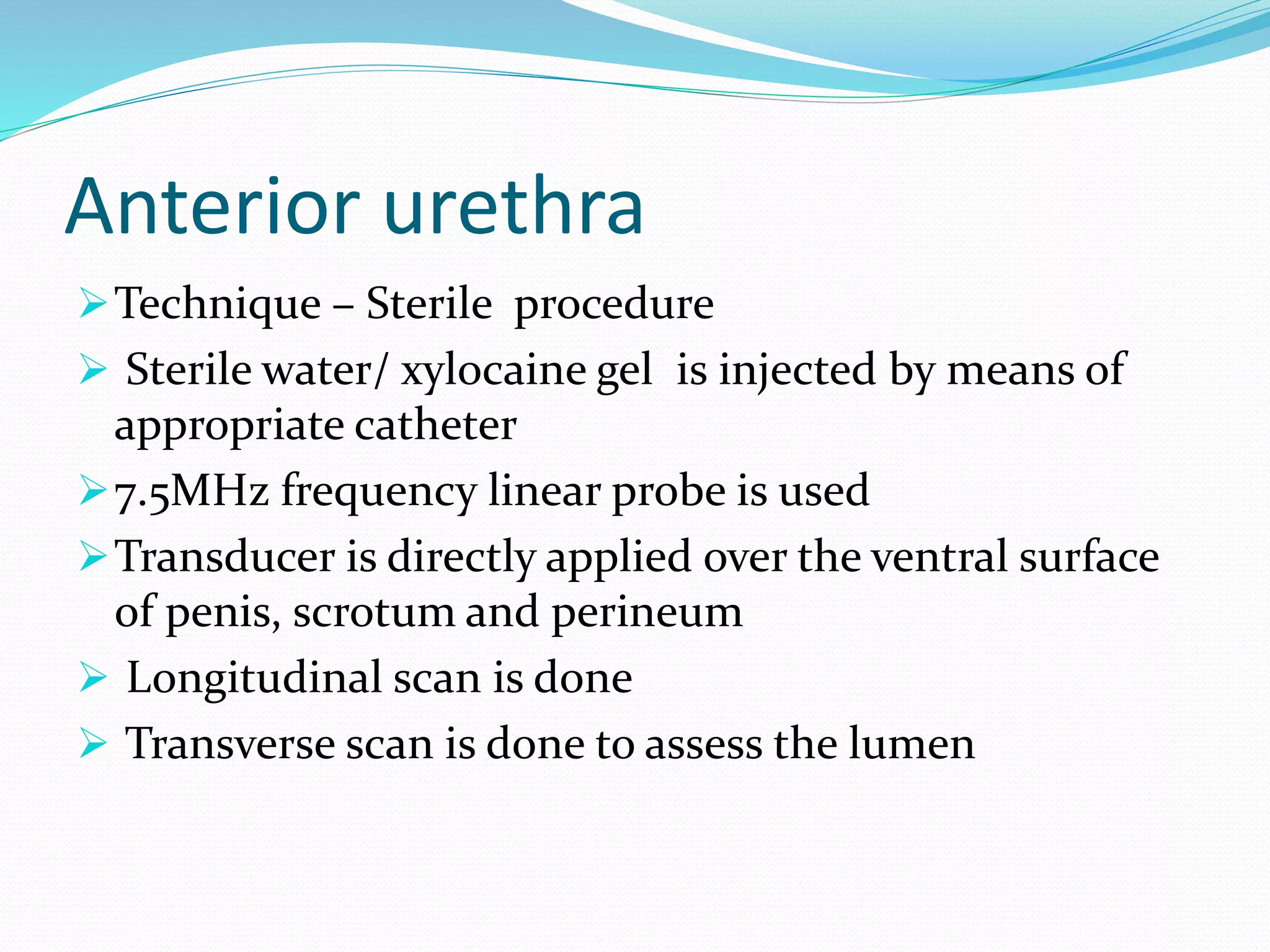 Radiological anatomy of the male urethra and techniques of imaging | PPTX