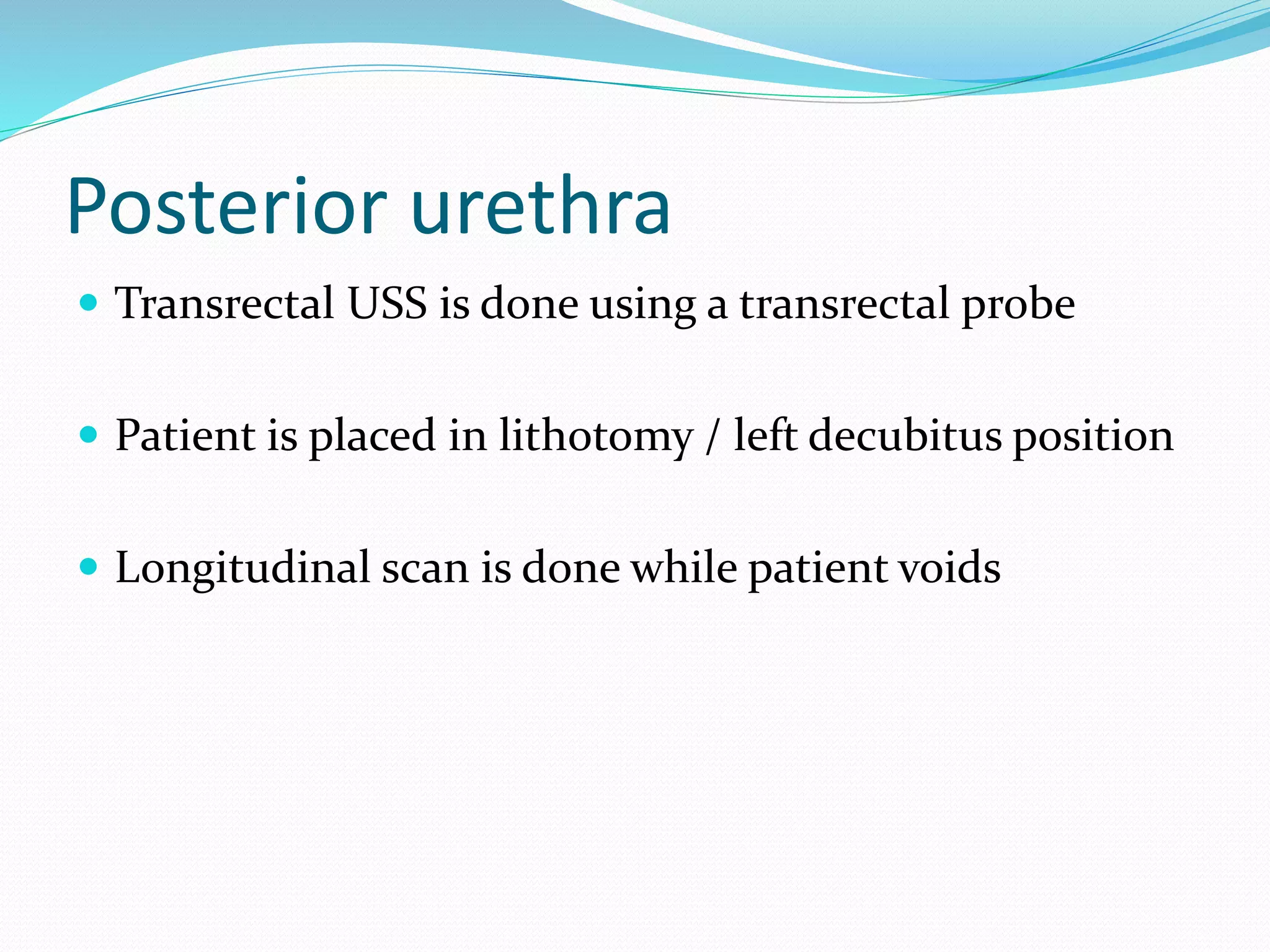 Radiological anatomy of the male urethra and techniques of imaging | PPTX