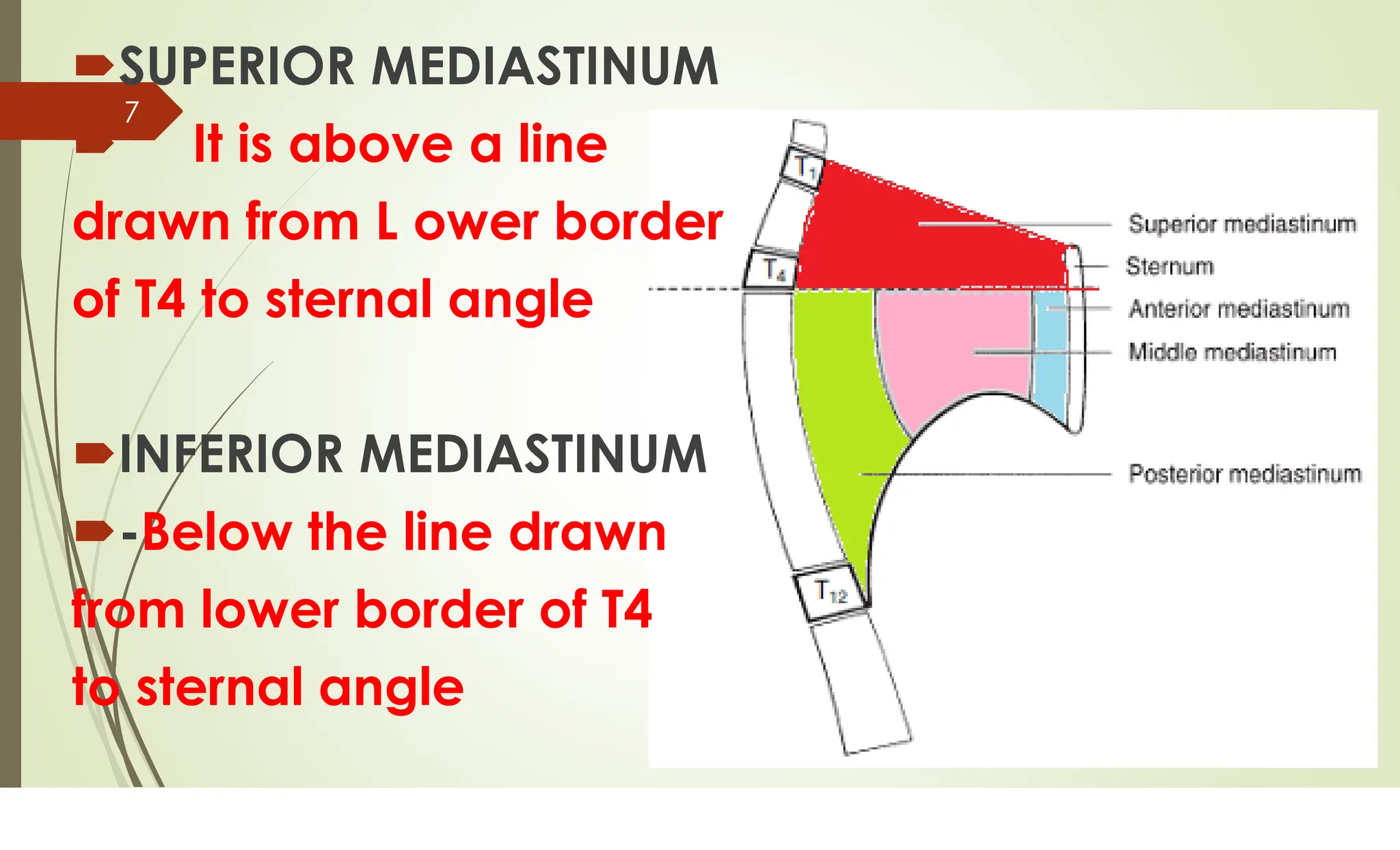 RADIOLOGICAL ANATOMY OF THE MEDIASTINUM.PDF