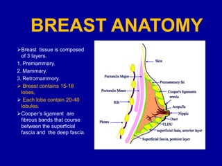 Radiological approach for malignant breast lesions | PPTX