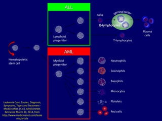 Radiological approach to leukemia | PPT