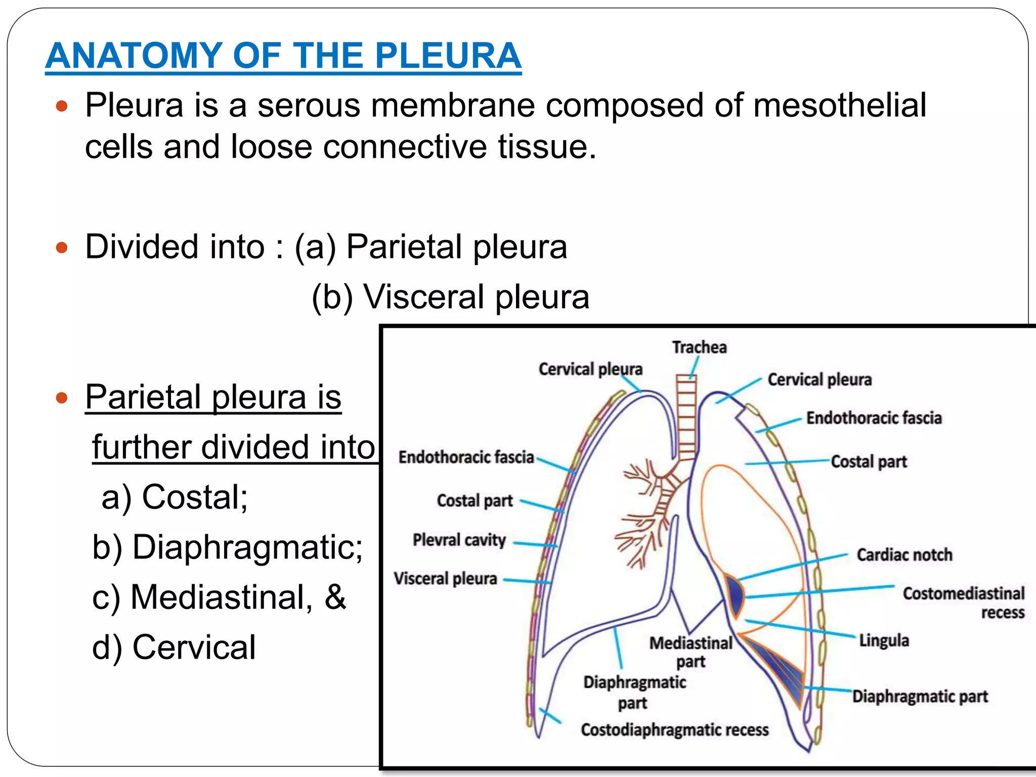 Radiological imaging of pleural diseases | PPTX