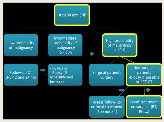 Radiological Imaging Of Single Solitary Pulmonary Nodule Ppt