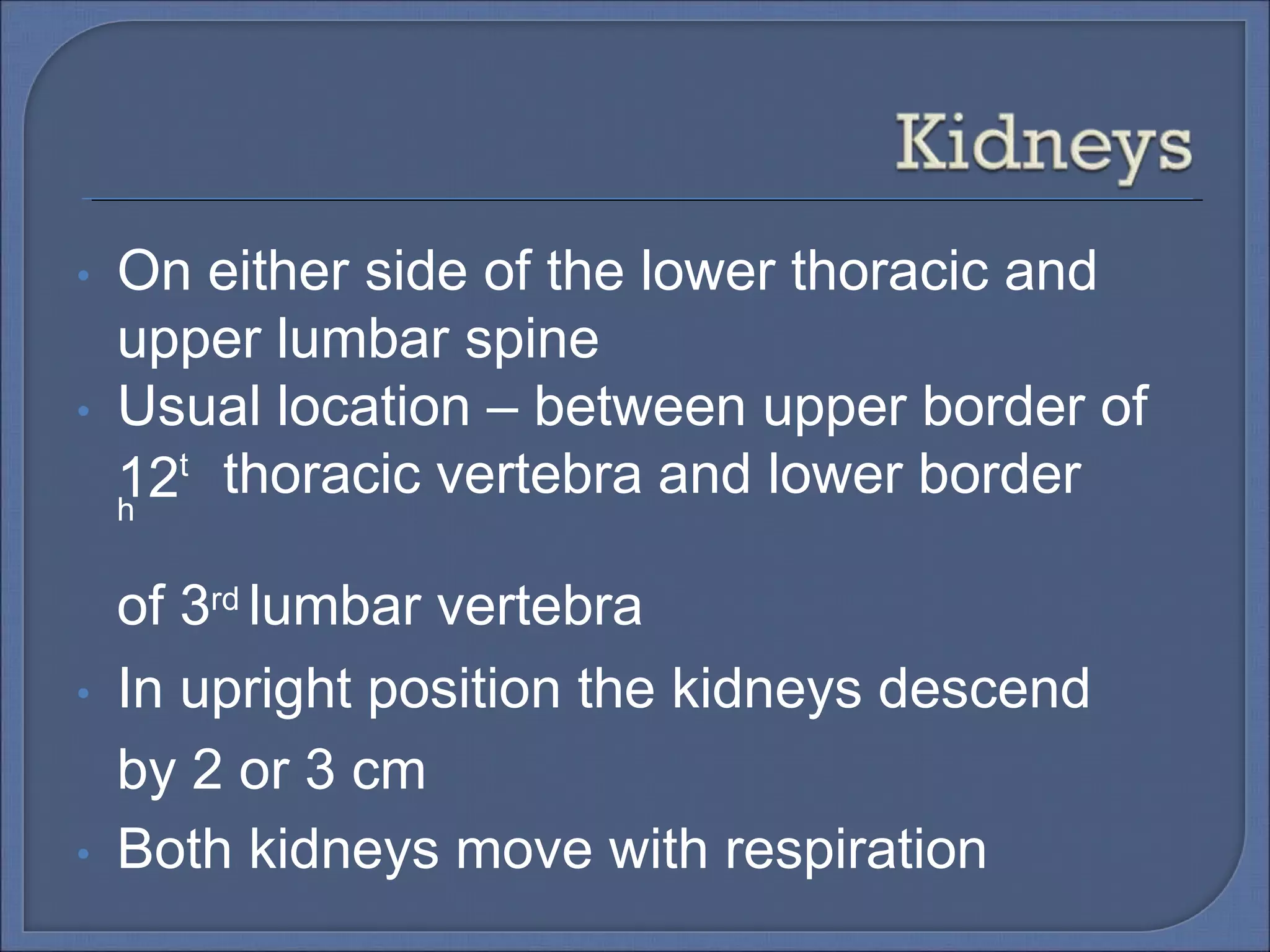 Radiological kidney | PPTX