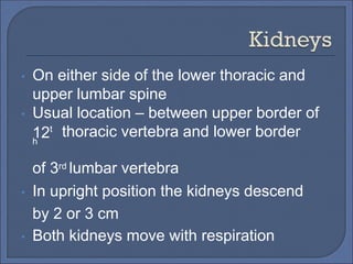 Radiological kidney | PPTX