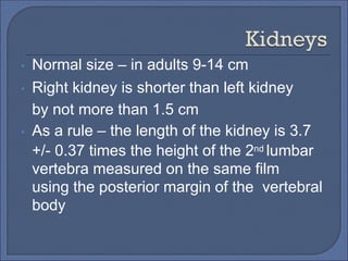 Radiological kidney | PPTX