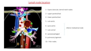 Radiological mapping of mediastinum.pptx