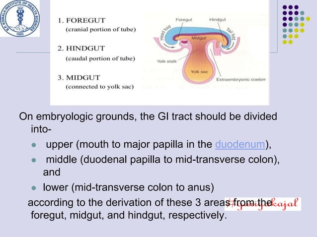 Radiological procedure of GI Tract 01 | PPTX