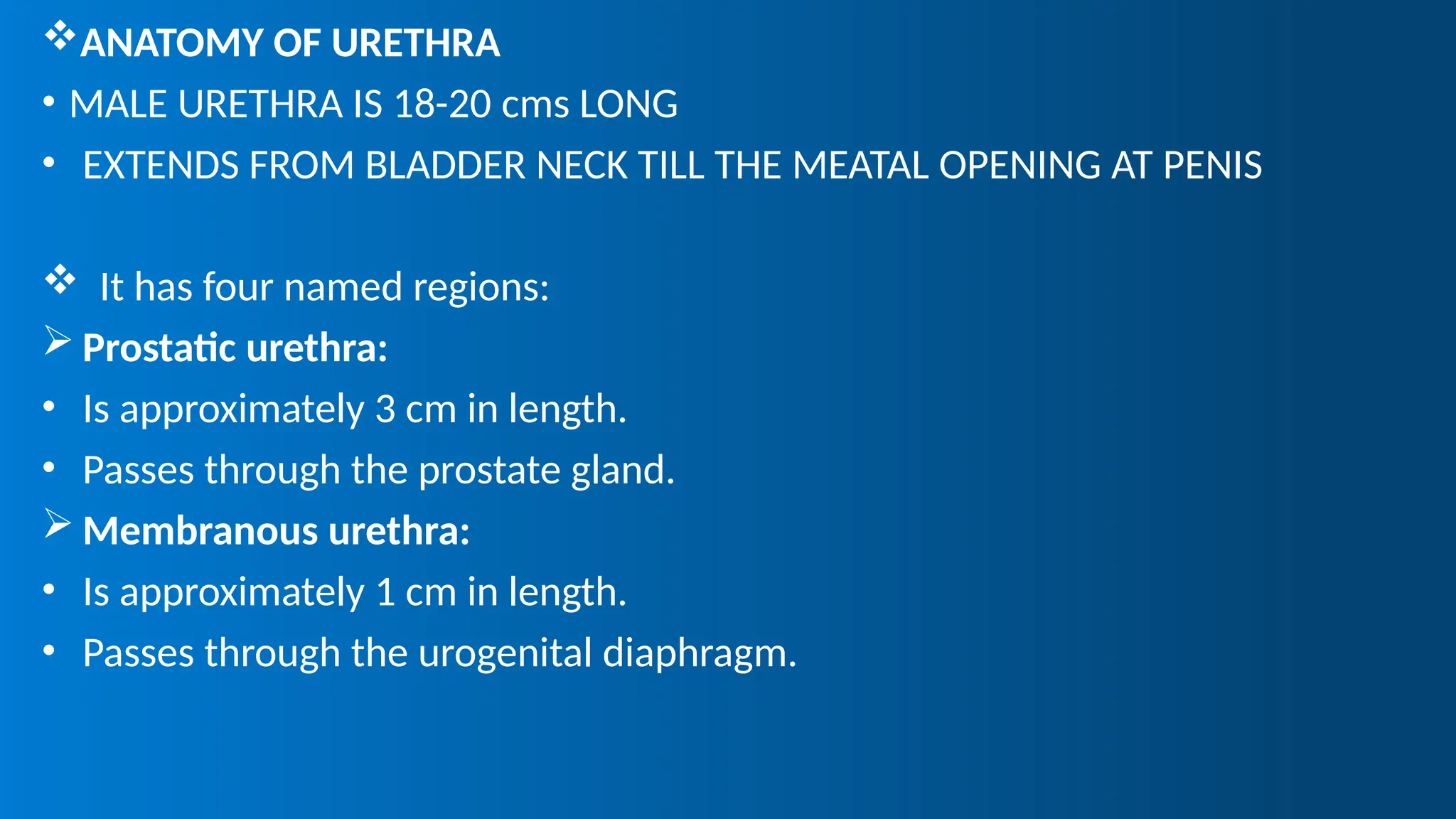 Radiological Procedure of Retrograde Urethrography.pptx