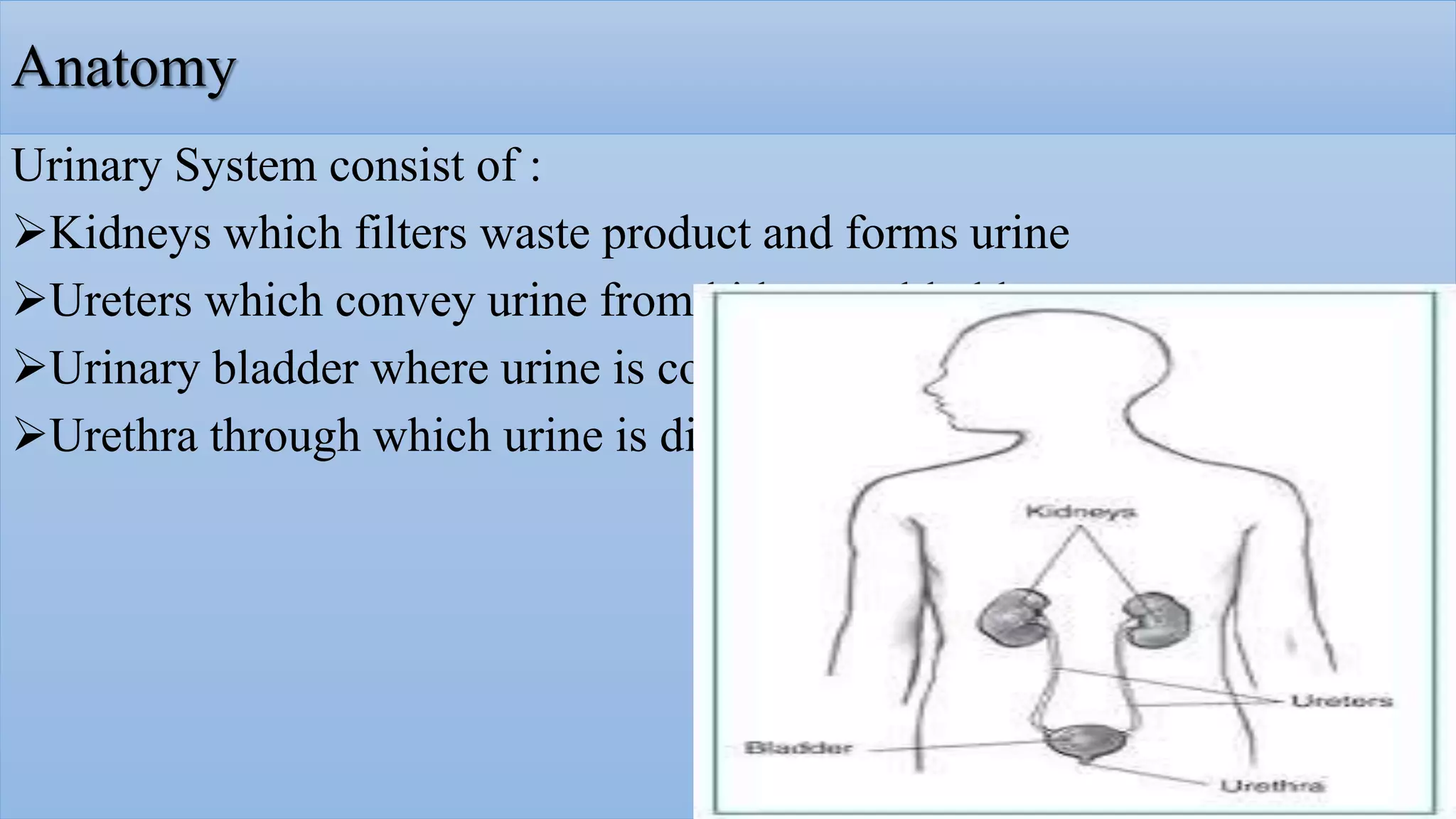 Radiological procedure of retrograde urethrography(rgu) and micturating ...