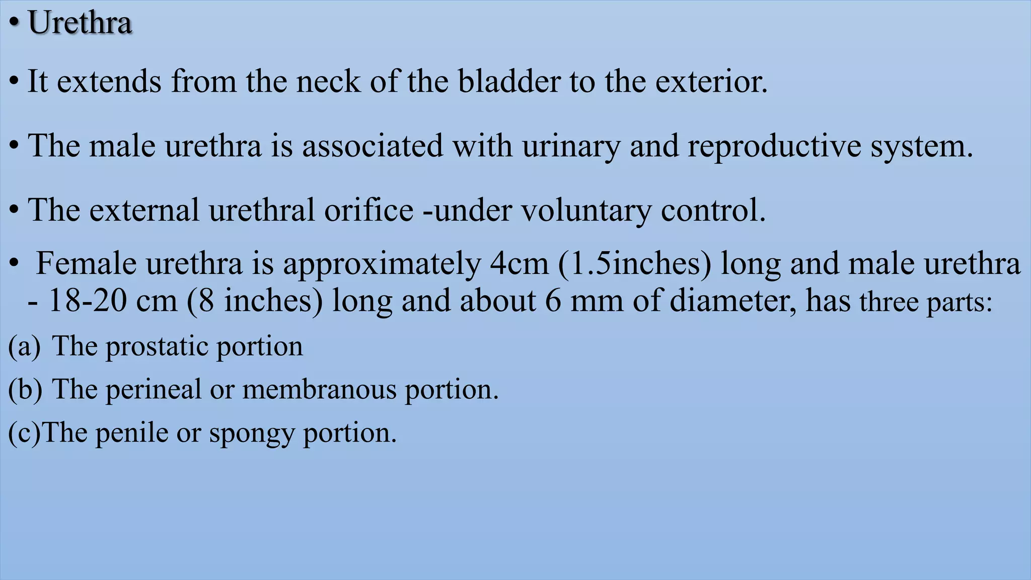 Radiological procedure of retrograde urethrography(rgu) and micturating ...