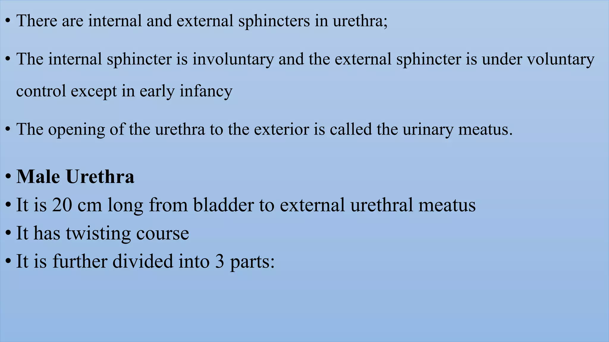 Radiological procedure of retrograde urethrography(rgu) and micturating ...
