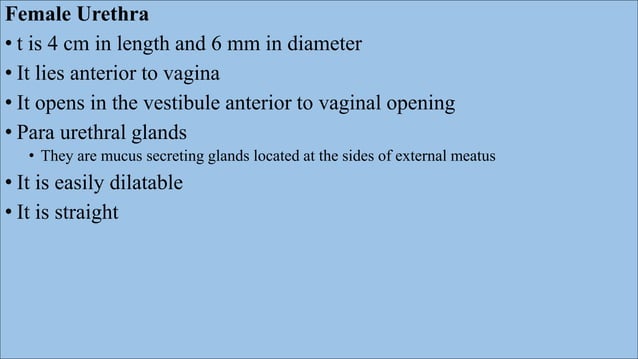 Radiological procedure of retrograde urethrography(rgu) and micturating | PPTX | Sexual ...