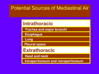 Radiological Signs in Chest Medicine | PDF