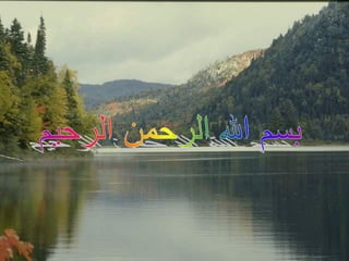 Radiological signs in chest medicine Part 1 | PPT