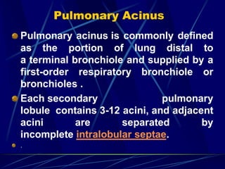 Radiological signs in chest medicine Part 1 | PDF