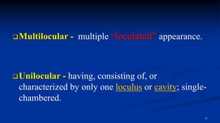 radiological terminologies oral pathology | PPTX