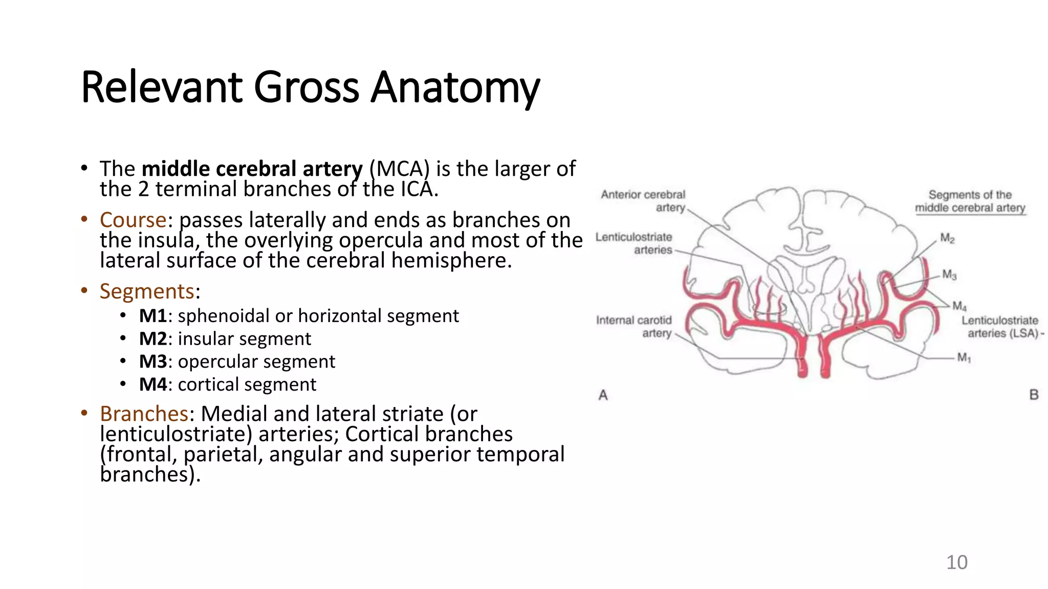 Radiologic Anatomy of the Blood Supply to the Brain.pptx