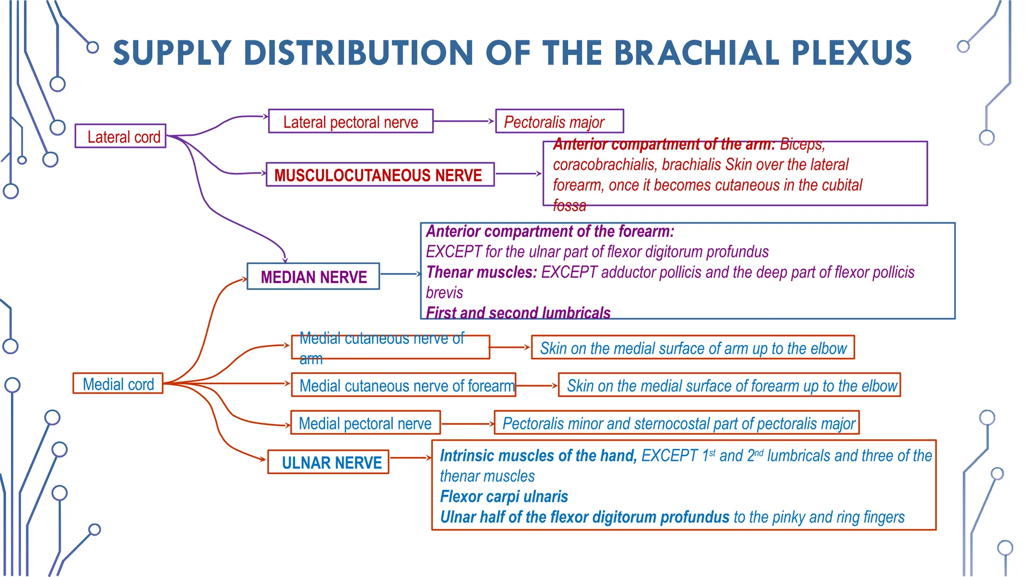 Radiologic_Anatomy_of_the_Brachial_plexus [final].pptx
