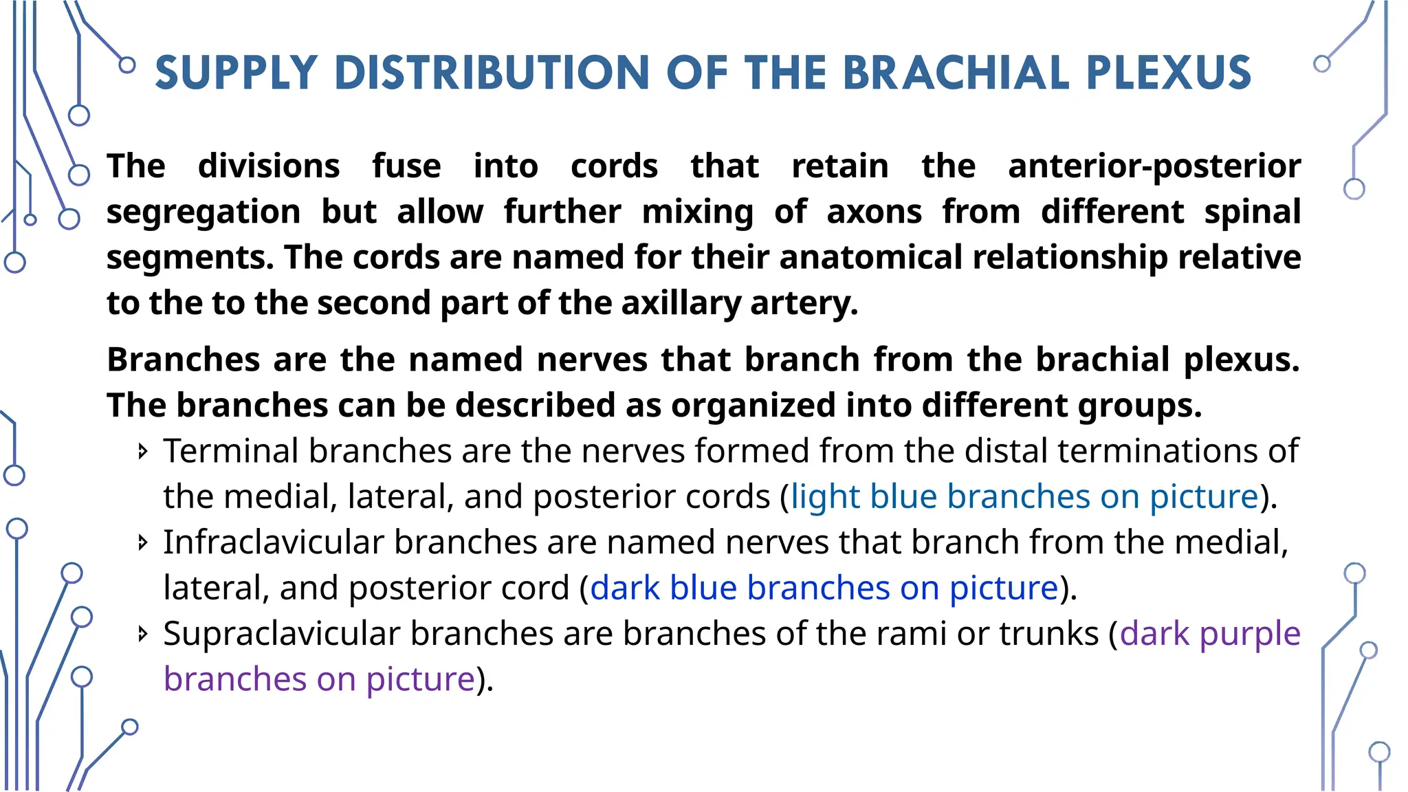 Radiologic_Anatomy_of_the_Brachial_plexus [final].pptx