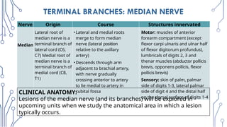 Radiologic_Anatomy_of_the_Brachial_plexus [final].pptx