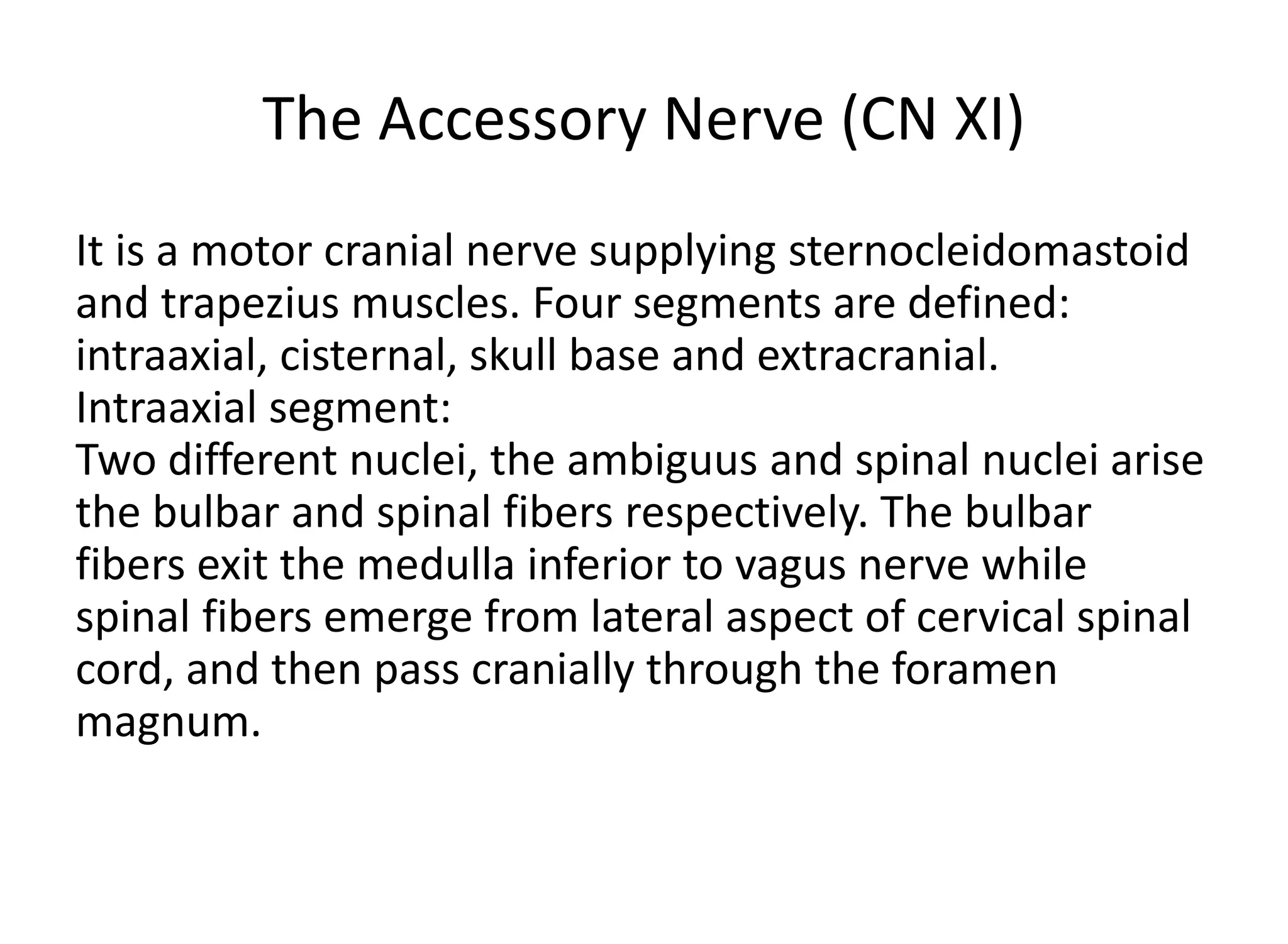 Radiologic anatomy of the cranial nerves | PPTX