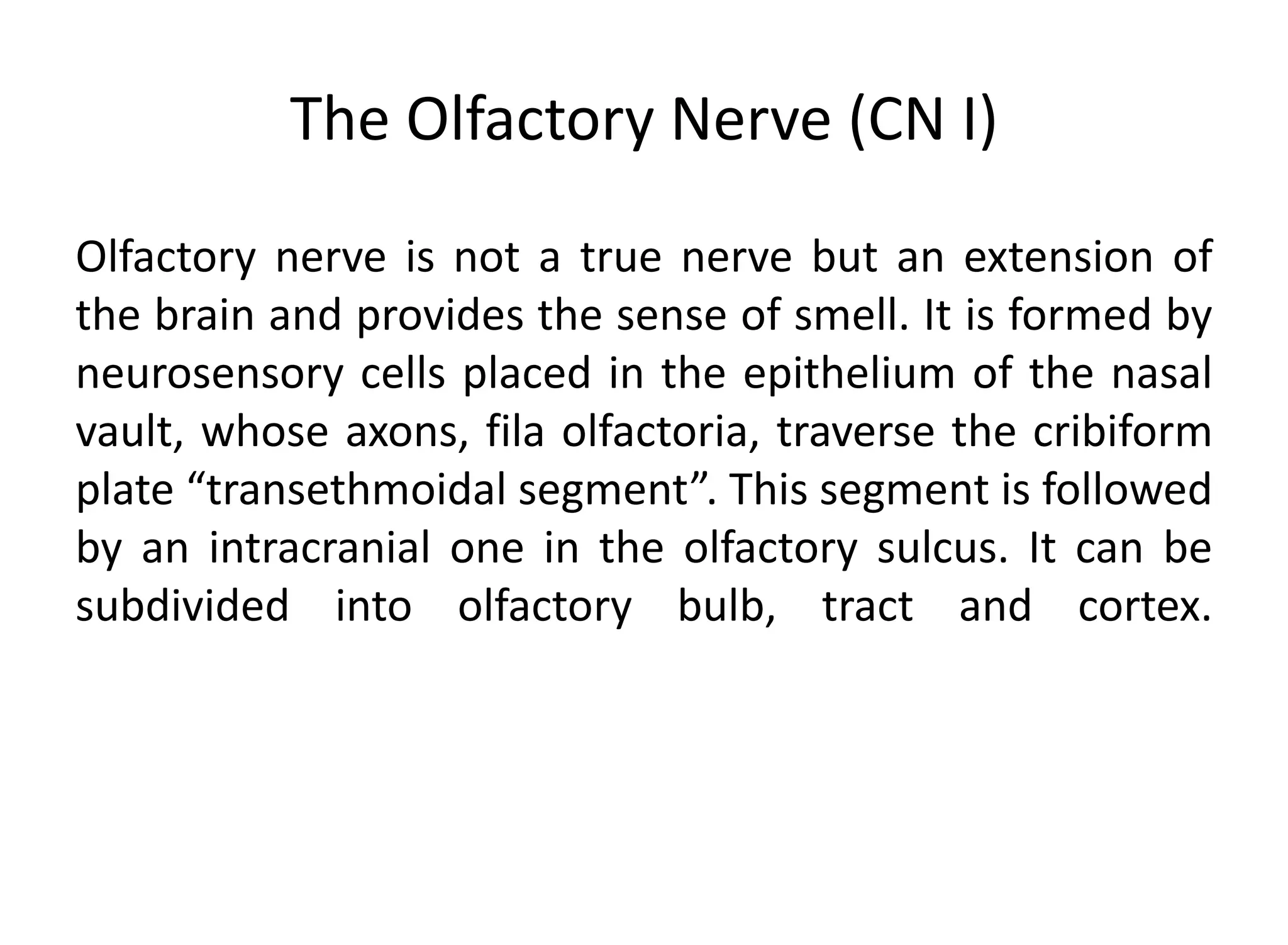 Radiologic anatomy of the cranial nerves | PPTX