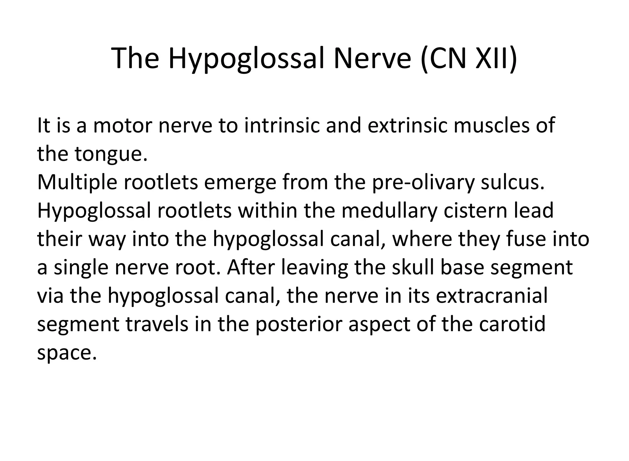 Radiologic anatomy of the cranial nerves | PPTX
