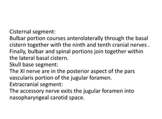 Radiologic anatomy of the cranial nerves | PPT