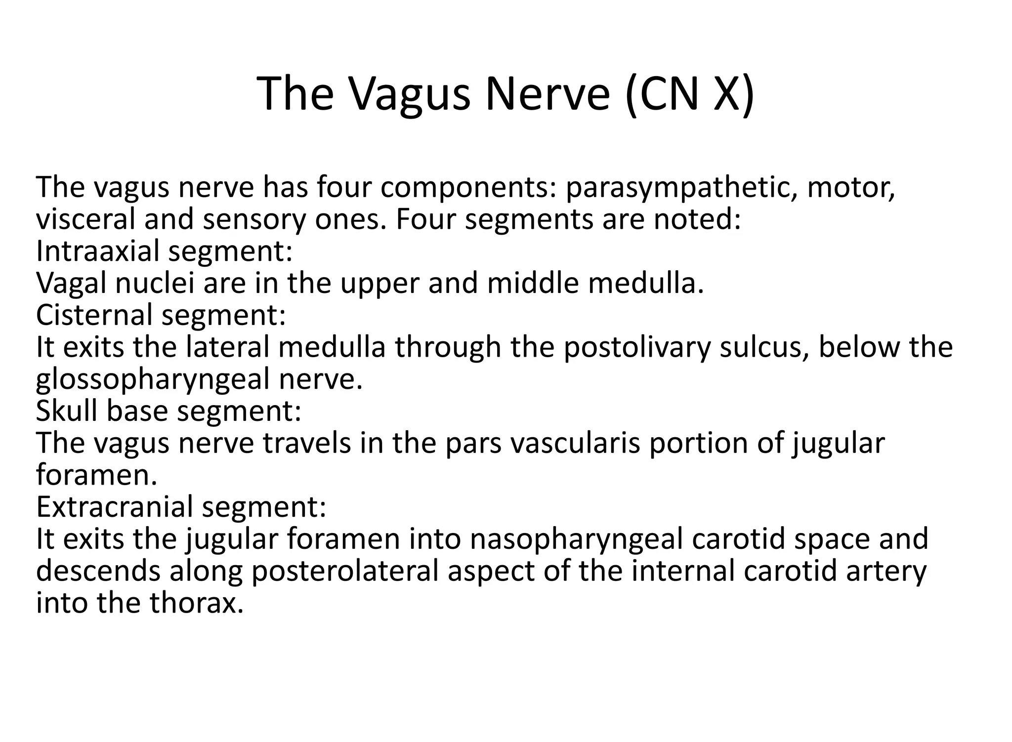 Radiologic anatomy of the cranial nerves | PPTX